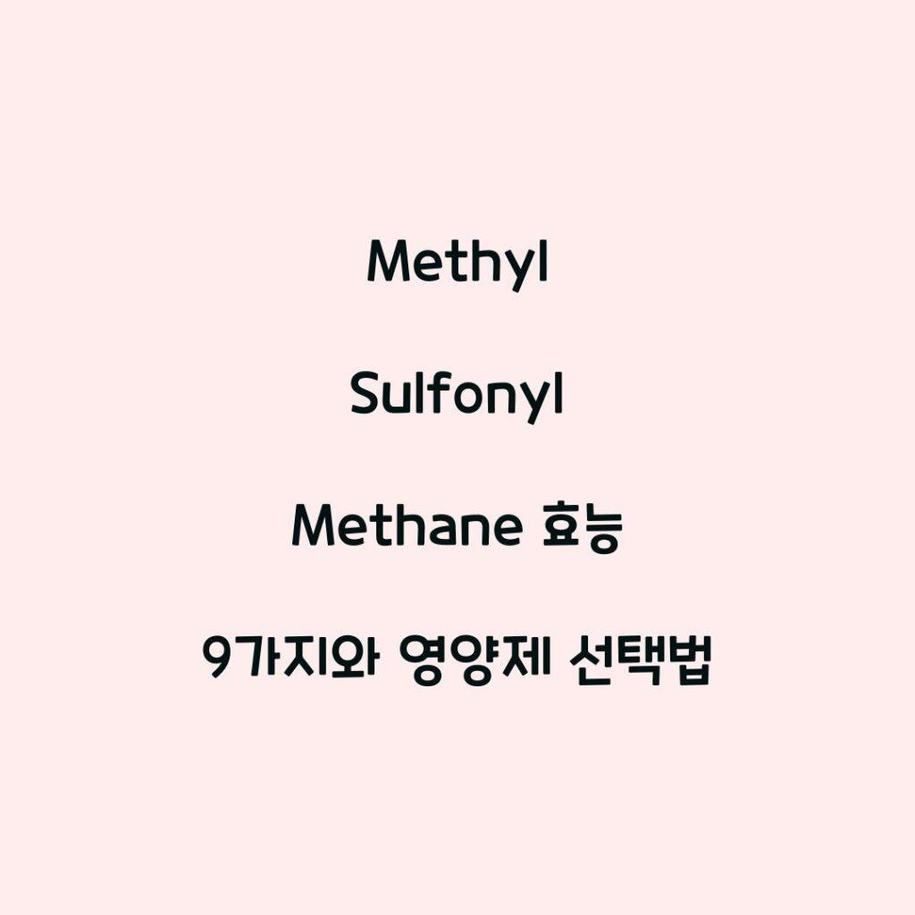 Methyl Sulfonyl Methane 효능 9가지와 영양제 선택법 - dietinhealth